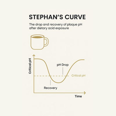 What is Stephan’s Curve? – Smile Boosters